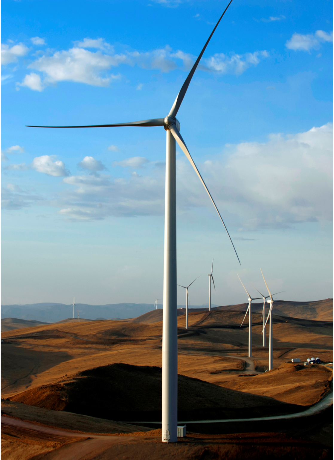 Newcom Group | Innovating for success